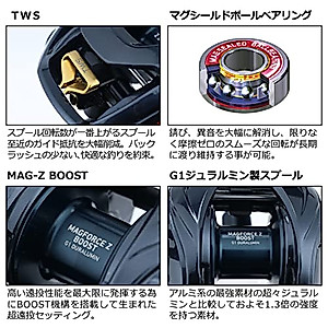 Daiwa Steez A TW HLC 8.1R Baitcasting Reel