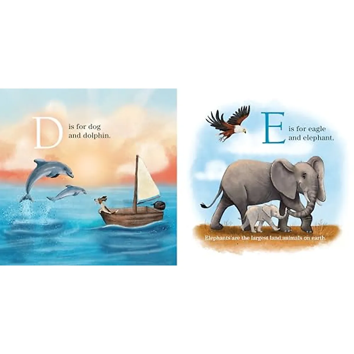 T Is for Tiger: A Toddler's First Book of Animals