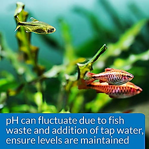 API PH TEST KIT 250-Test Freshwater Aquarium Water pH Test Kit, 4 Piece Set