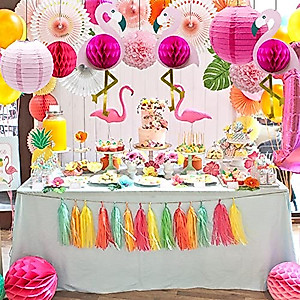 Tropical Pink Flamingo Party Decorations, Pom Poms Honeycomb Balls Paper Flowers Tissue Paper Fan Paper Lanterns for Birthday Hawaiian Luau Summer Beach Bachelorette Party