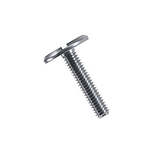 Hillman Combo Sidewalk Bolt, Hurricane Hardware, 100 Pieces, Rust-Resistant, Durable, Truss Head, (1/4" x 2") Stainless Steel (831494)