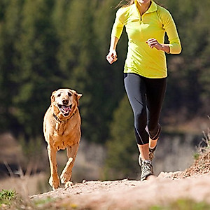 antioxidant Dog Treats - Advanced Immune System Support - CHEWABLE - for Dogs - Dog Supplements for Skin and Coat - 2 Bottle (180 Chews)