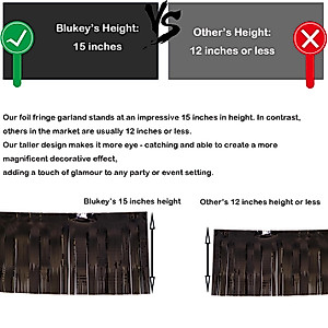Blukey Black Parade Float Foil Fringe Skirting Decorations- Pack of 2 - Each 10 Feet by 15 Inch, Metallic Tinsel Drapes Garland Party Supplies for Bridal Shower, Bachelorette, Easter Day, Halloween
