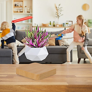 Levitating Air Bonsai Pot, Rotation Flower Planters, Magnetic Levitation Suspension Floating Pot, Potted Plant Desk Decor in Flower Pots & Planters from Home & Garden on (Light Color)