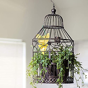 Trappify Sticky Fly Traps for Home Pest Control - Fly, Gnats and Other Flying Insects Killer with Extra Sticky Adhesive Disposable Fly and Bug Catcher - 24 Traps