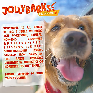 JollyBarks White Cow Ears for Dogs, Rawhide Free Dog Chews Long Lasting Dog Treats for Medium Dogs, Healthy Dog Treats for Large Dog | Cow Ear Dog Chew Treats All Natural Dog Treats Small Dogs (12 Pk)