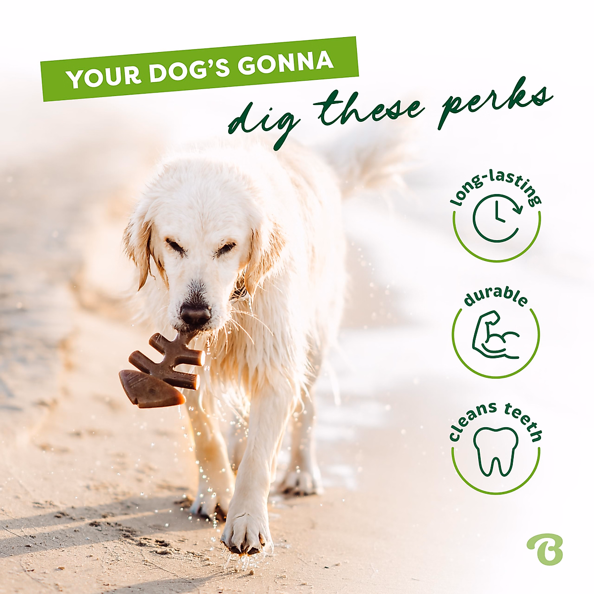 Benebone Fishbone Durable Dog Chew Toy for Aggressive Chewers, Real Fish, Made in USA, Large