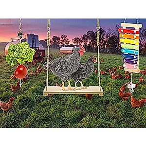 3 Packs Chicken Toys for Coop, Including Chicken Swing, Xylophone, Vegetable Hanging Feeder for Hens, for Chicken Medium Large Bird Parrot Training