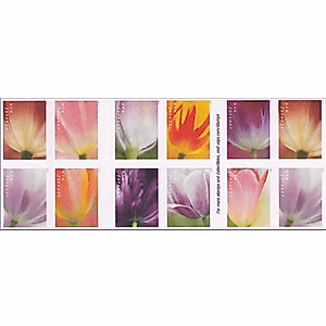 USPS 2023 Tulip Blossom Forever First Class Postage Stamps (20 Count Booklet)