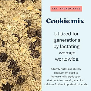 Mommy Knows Best Lactation Cookies Mix - Oatmeal Breastfeeding Cookie Supplement Support for Breast Milk Supply Increase with Flax Seed and Brewers Yeast (Chocolate Chip) 15oz