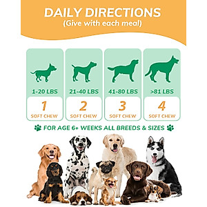 Probiotics Chews for Dogs with Prebiotic & Digestive Enzymes,Support Gut Health, Digestion, Immunity, Relief Seasonal Allergies, Diarrhea, Constipation (Chicken Flavor / 120 Chews)