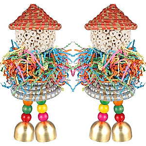 BBjinronjy Conure Toys,2PCS Bird Toys Parrot Foraging Shredder Hanging Toys Sola Balls with Bell for Small Parrots Parakeets Cockatiel Conures Love Birds Budgie Cage Toy