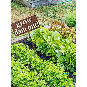Grow Dammit Garden Signs Decor- Metal Garden Stakes Sign Funny Gardening Gifts with Gift Box for Women Men and Gardeners (19.7 Inches Tall)