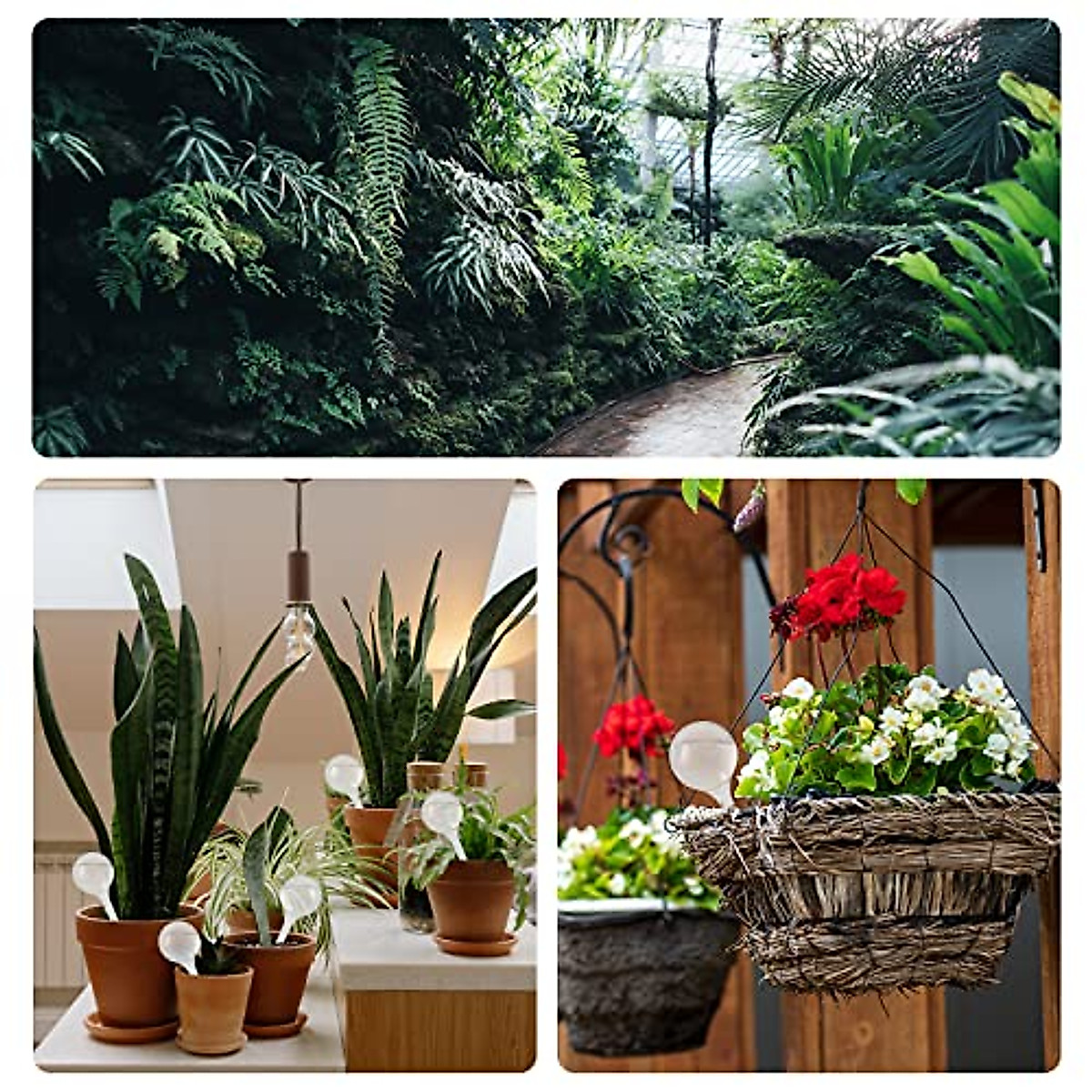 Zddaoole 20 Pcs Clear Plant Watering Globes,Automatic Plant Watering Bulbs,Self Watering Planter Insert,Garden Water Device Plastic Watering Bulbs for Plant Indoor Outdoor