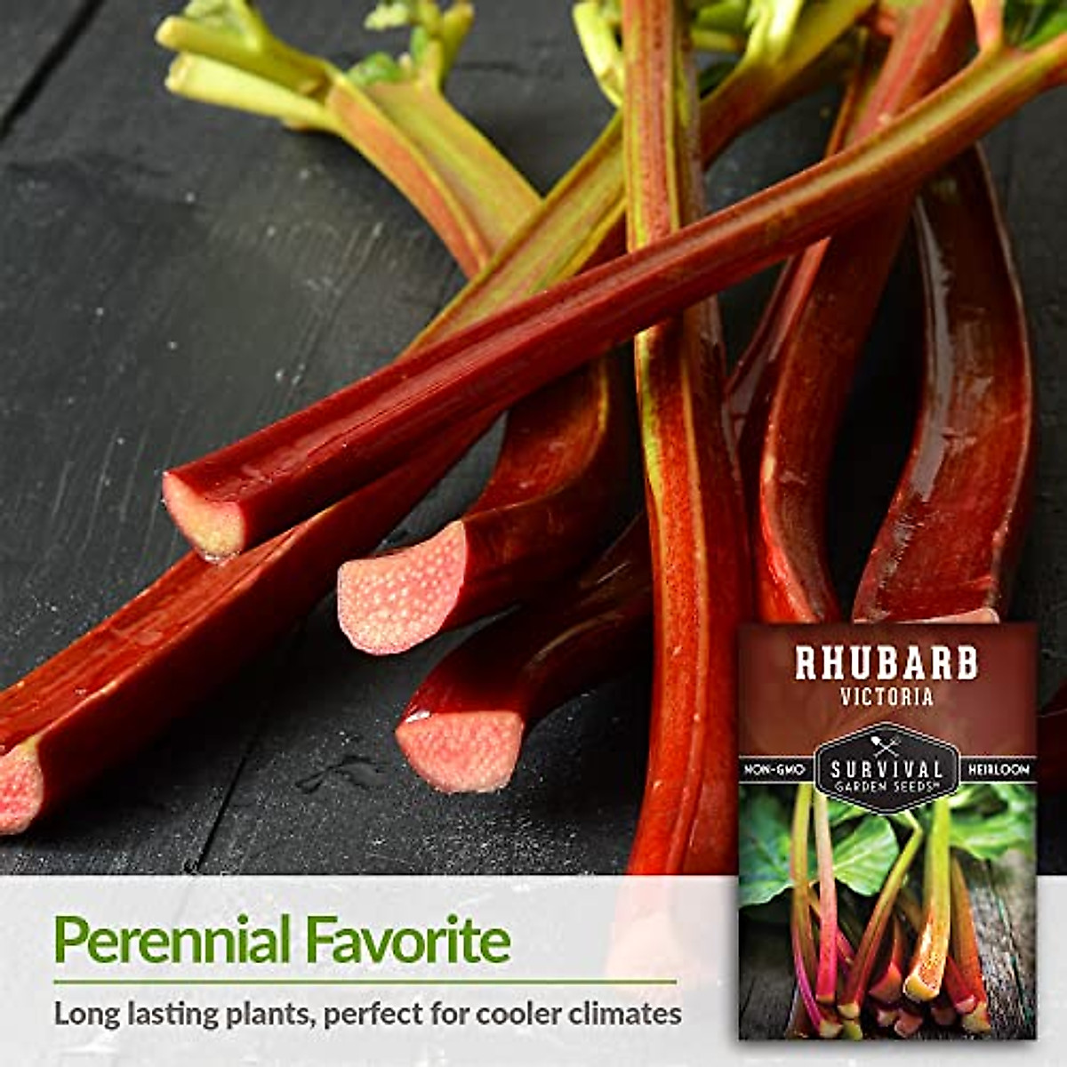 Survival Garden Seeds - Victoria Rhubarb Seed for Planting - Packet with Instructions to Plant and Grow Delicious and Tangy Red Stalks in Your Home Vegetable Garden - Non-GMO Heirloom Variety