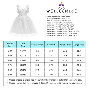 Weileenice Easter White Flower Girl Lace Embroidery Dress 2 3 Kids Baptism Birthday Church Wedding Party Pageant Princess Ball Gown Christmas Little Girls Formal Prom Tutu Tulle Dresses New Year