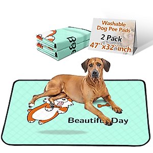 GOLOPET Washable Pee Pads for Dogs 47x32in 2-Pack Thick Reusable Puppy Pads Extra-Absorbent Prevent Leakage Non-Slip for Puppy Playpen, Crate, Whelping Box, Potty Training Reusable,Blue