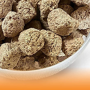 Northwest Naturals Freeze Dried Raw Diet for Dogs Freeze Dried Nuggets Dog Food – Turkey – Grain-Free, Gluten-Free Pet Food, Dog Training Treats – 12 Oz.