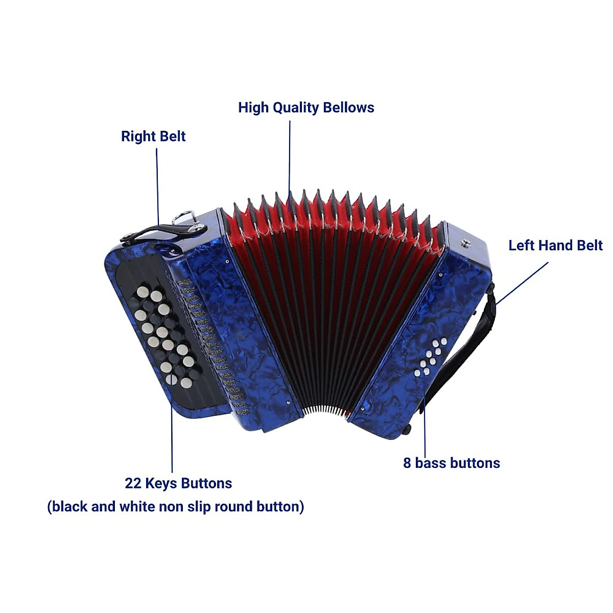 22 Key Diatonic Accordion 8 Bass Professional Button Accordion Instrument for Beginner with Storage Bag(Blue)