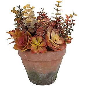 Grand Verde Orange Succulents Plants Artificial in Pot Assorted Potted Faux Greenery Real-Touch Fall Home Decor Indoor Outdoor Office Desk Shelf Decoration 10” x 8”