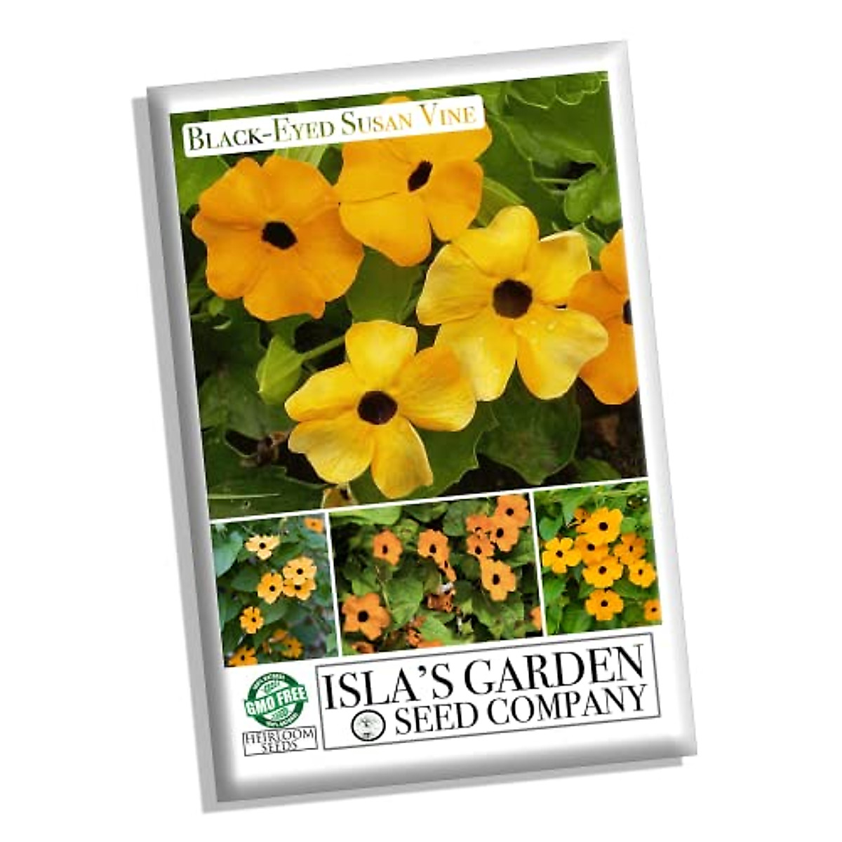 Black Eyed Susan "Vine" Flower Seeds for Planting, 25+ Heirloom Seeds Per Packet, (Isla's Garden Seeds), Non GMO Seeds, Botanical Name: Thunbergia alata, Great Home Flower Garden Gift