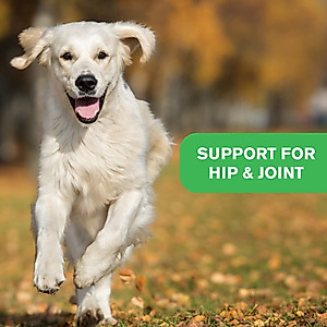 Organic Hemp Oil for Pets - Herbal Drops - Separation Anxiety and Pain Relief - Stress Support - Calming Effect - Supports Hip & Joint Health - Reduce Pain and Inflammation - 100% Natural