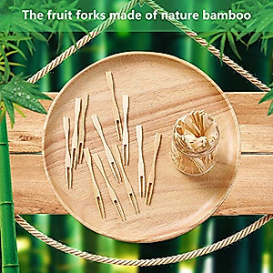 Bamboo Forks 3.5 Inches Disposable Mini Food Picks Double Prong Fruit Cocktail Forks Blunt-end Forks for Appetizer, Cocktail, Fruit, Pastry, Dessert (110 Pcs)