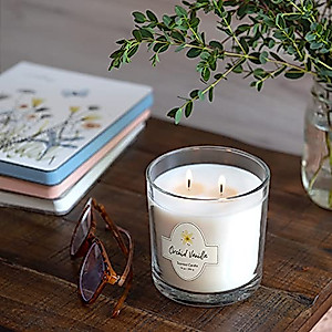OCS Designs Clear Scented Candle - Orchid Vanilla - 14-Ounce Soy-Blend Wax Scented Jar Candle for Home & Office - Infused with Real Essential Oils - Burns up to 50 Hours