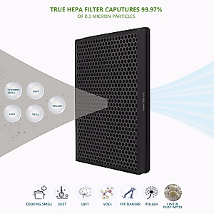 TTAP003 Replacement Filter, Compatible with TaoTronics TTAP003 and VIVOSUN 5-in-1 Air Purifiers, H13 Grade True HEPA and Activated Carbon Filter, 2 Pack