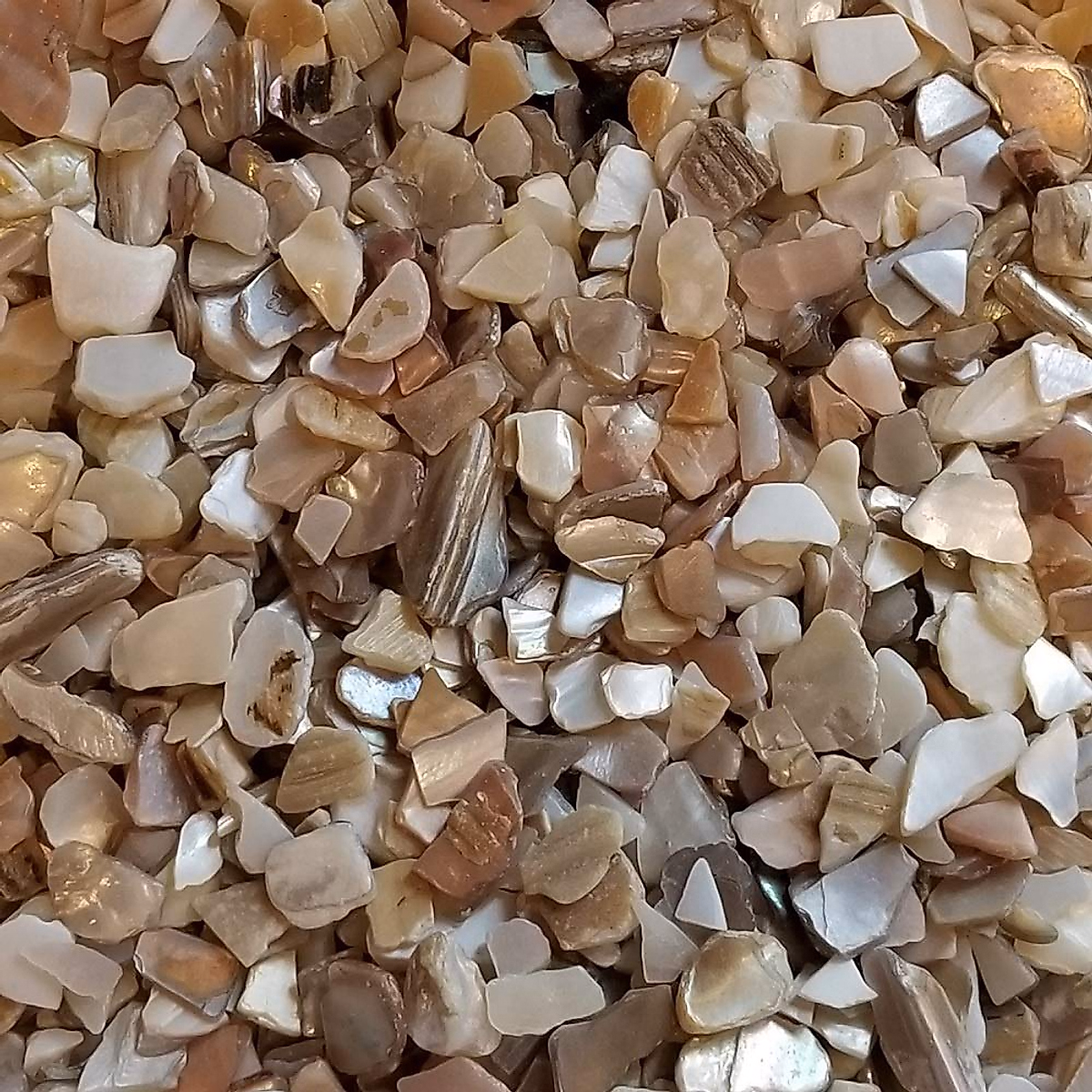 BeachWalk Small Natural Crushed Shells - for Weddings, Vase Filler, Home Décor, and Crafts (32 oz (2 lb), Natural Pearl)