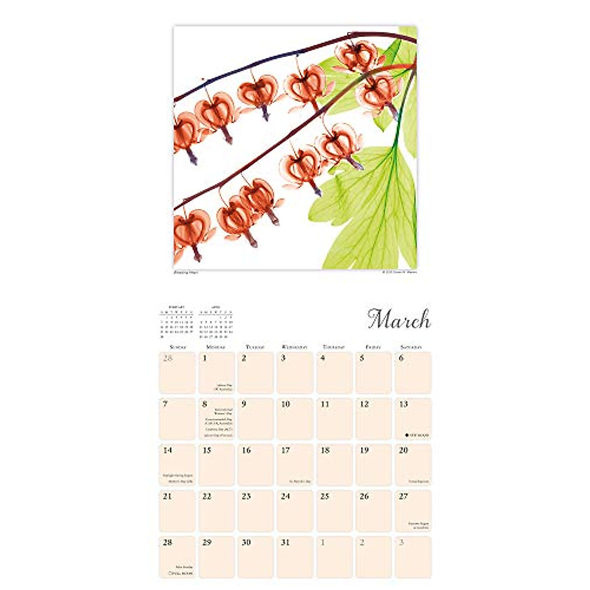 2021 Flower Spirits Radiographs of Nature by Steven N. Meyers 16-Month Wall Calendar