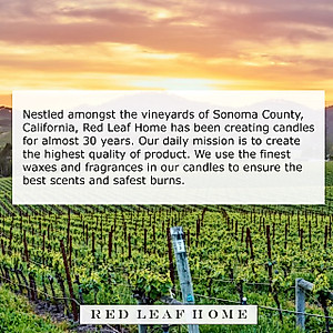 Red Leaf Home | Lavender Citrus Pet Deodorizing Jar Candle | Large | Gift, Perfect for Dog & Cat Owners | Contains DeoBoost | 15.5oz