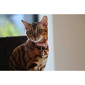 Beau's Bells 2 Extra Loud Cat & Dog Bells | Pet Tracker | Save Birds & Wildlife | Luxury Handmade Copper (Small)