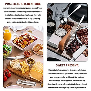 Charcuterie Board Accessories Cheese Spreader Knife Set Cheese Butter Knife Stainless Steel Mini Serving Tongs Spoons Appetizer Forks for Pastry Christmas (Silver, 20 Pieces)