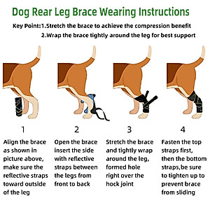 PETNEDO Dog Canine Rear Leg Hock Joint Brace, Pair of Dog Leg Double Compression Brace with Metal Spring Strips, Protects Hind Leg Wounds, Injuries and Sprains Helps Arthritis-L