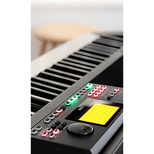 Korg XE20 Digital Ensemble Piano Bundle with Adjustable Stand, Bench, Power Supply, Damper Pedal, Keyboard Cover, Instructional Book, Austin Bazaar Instructional DVD, and Polishing Cloth