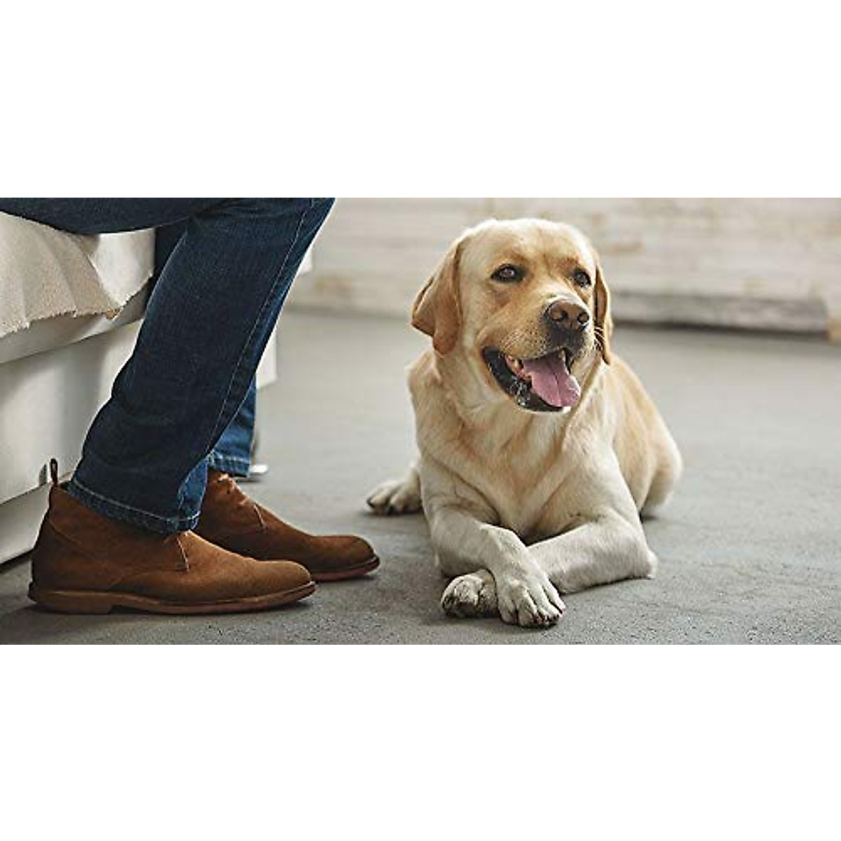 PET SUPPLEMENTS & NUTRITION LLC Dog Anxiety aid - Dog Relaxant - Anxiety and Stress Relief - Calm Aggression - Natural Herbs - Chamomile Calming aid for Dogs - 1 Bottle (90 Treats)