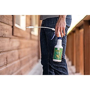 Donaldson Farms Carpenter Bee Killer Spray for Insects All Natural Foaming Spray, 16 oz