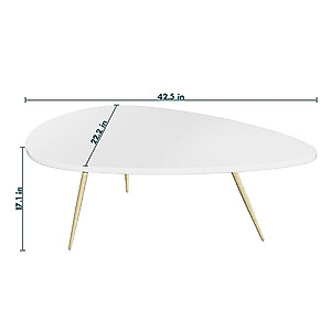 SAYGOER Modern Coffee Table Small White Coffee Tables for Small Space Unique Simple Oval Center Table with Wood Frame for Living Room 22.2" D x 42.5" W x 17.1" H