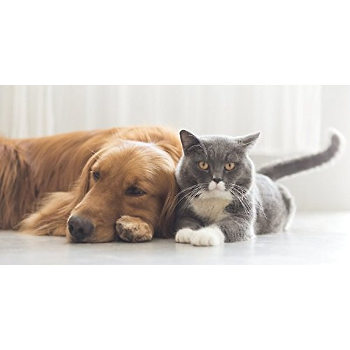 Pet Supplements cat Joint Health - Hip and Joint - Health and Support - for Dogs and Cats - cat chondroitin glucosamine - 2 Bottle (240 Chews)