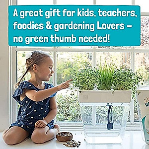 Back to the Roots Indoor Aquaponic Garden and Fishtank - 3 Gallon Self Watering, Mess-Free Planter and Self-Cleaning Fishtank for Herbs, Microgreens, Bamboo, Succulents, and Houseplants, support Fish