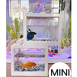 Small Betta Fish Tank, Large Fish Tank Fish Bow Aquarium with Imitation Starfish Coral Decoration, Clear Stackable Cube Tank for Ant Feeding Jellyfish Goldfish Moss Balls Insects,76oz