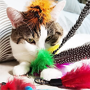 TIENAILING Cat Feather Toys Replacement Cat Wand Feathers Refill, 8 PCS Handmade Natural Da Bird Feather Refills, Cat Wand Replacement Feathers for Cat Toys