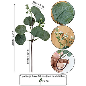 Forlaoers 6pcs Small Fake Plants Silver Dollar Eucalyptus Garland Silk Leaves Stems with Seeds Faux Flowers Bouquets Greenery for Decor Rectangular Floral Centerpieces, Grey Green, HY28015