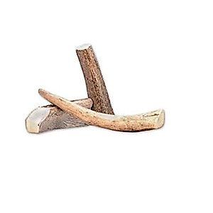 Ranch Rewards ELK Antler Dog Dental Chews Natural Way to Clean Your Dog's Teeth Bulk Too!(Small - 4" to 5" Antlers)
