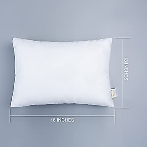 NTBAY 2 Pack Cotton Down Alternative 13x18 Toddler Pillows, Machine Washable - Soft and Breathable Baby Travel Small Pillows for Sleeping, Ideal for Daycare, Crib, Cot