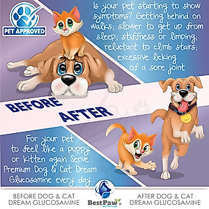 Best Paw Nutrition - Unflavored Liquid Glucosamine for Dogs & Cats - Chondroitin, MSM, Hyaluronic Acid - Dog Arthritis Home Remedy - Joint Supplement for Hip & Joint Pain Relief Pets Love - 16oz