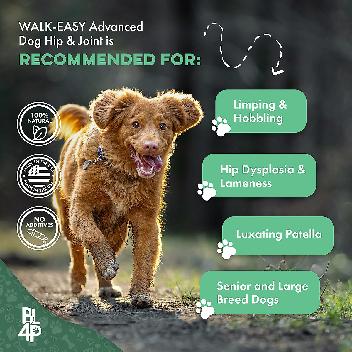 Advanced Hip and Joint Supplement for Dogs - Natural Extra Strength Dog Arthritis Pain Relief & Anti Inflammatory for Dogs Helps Limping, Mobility Issues, Hip Dysplasia, ACL Tears - 180 Tiny Pills