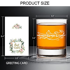 AGMDESIGN Funny Otter Whiskey Glasses Gift Box, Gifts For Otter Lovers, Grandfather, Men, Women, Dad, Mom, Son, Husband, Brother, Father's Day, Birthday Gift