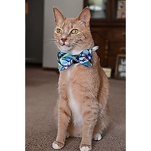 Huxley & Kent Pet Bow Tie | Blue Madras (Large) | Easter Pet Bow Tie Collar Attachment | Fun Bow Ties for Dogs & Cats | Cute, Comfortable, and Durable